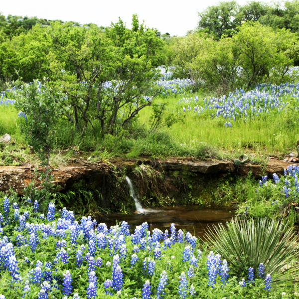 Austin, TX Neighborhood Maps - Austin Area Subdivisions